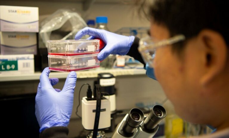 The Cancer Research UK Brain Tumour Conference 2024 - The Brain Tumour ...